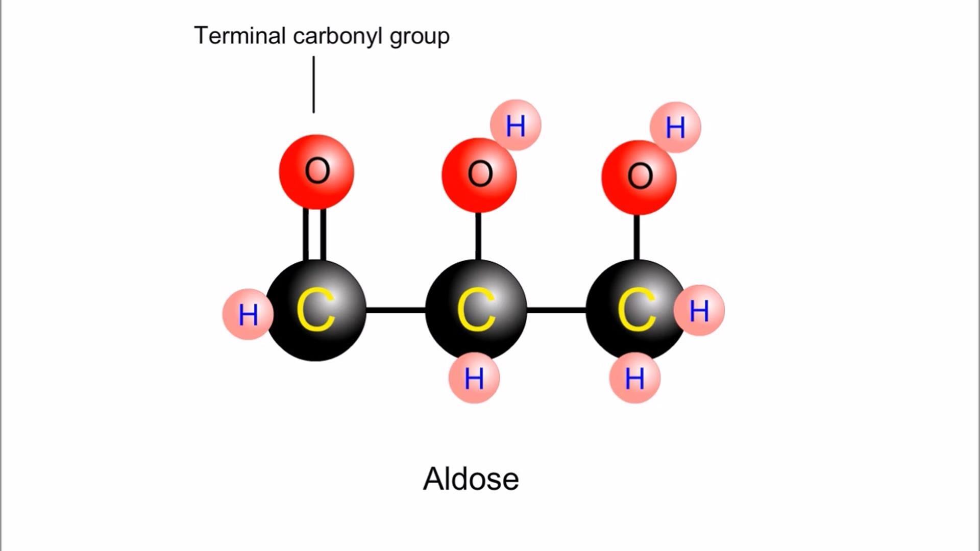 Structure Of Monosaccharides